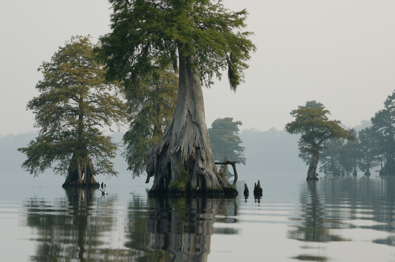 The Mystery of America’s Lost Colony and the Werewolf Conspiracy ...